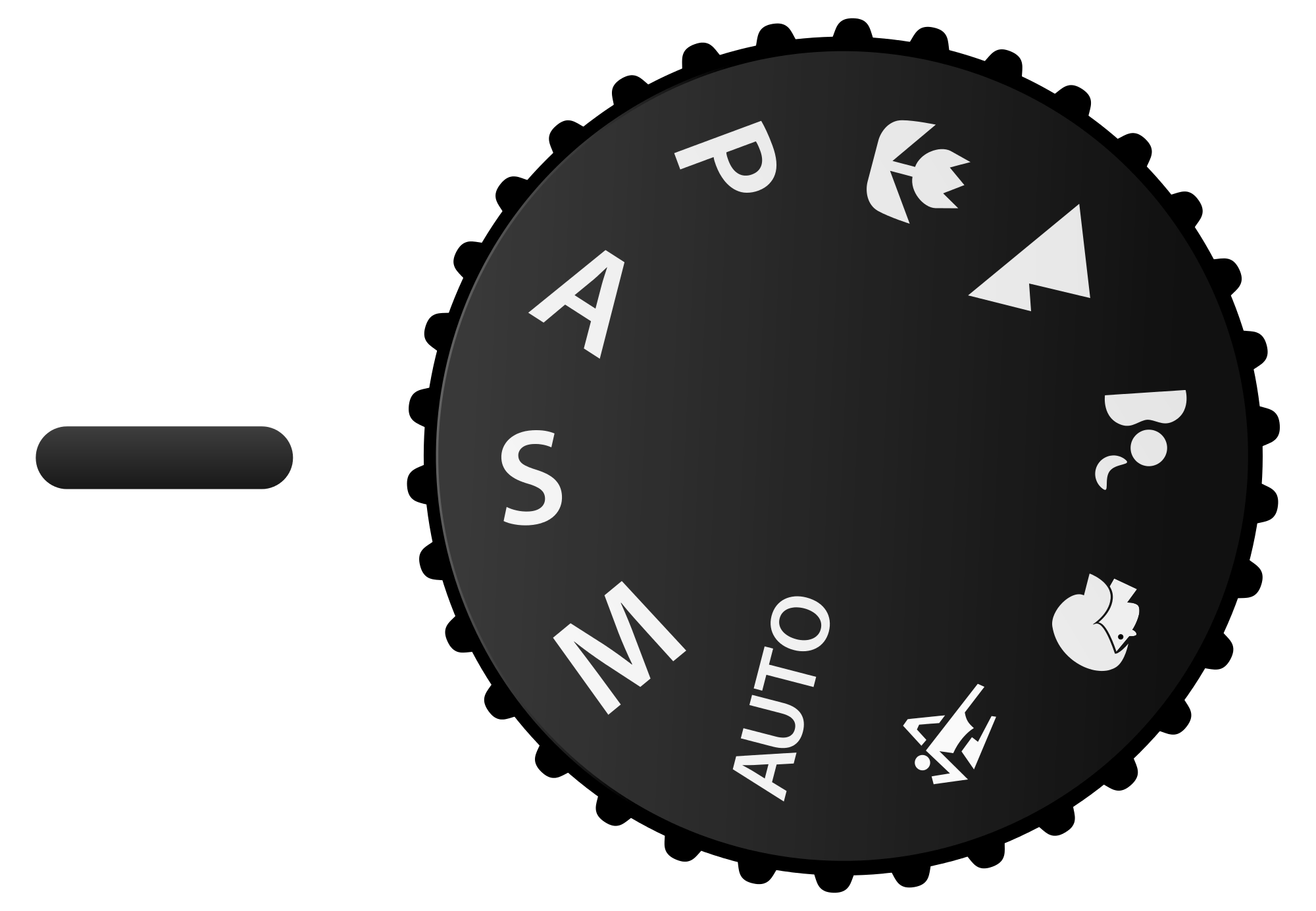 A Guide to Understanding Shutter Priority Mode | ComposeClick