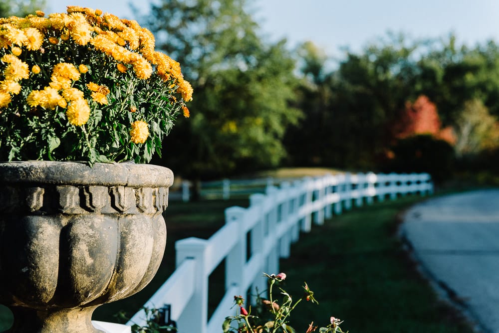 A Beginner's Guide to Understanding Depth of Field | ComposeClick