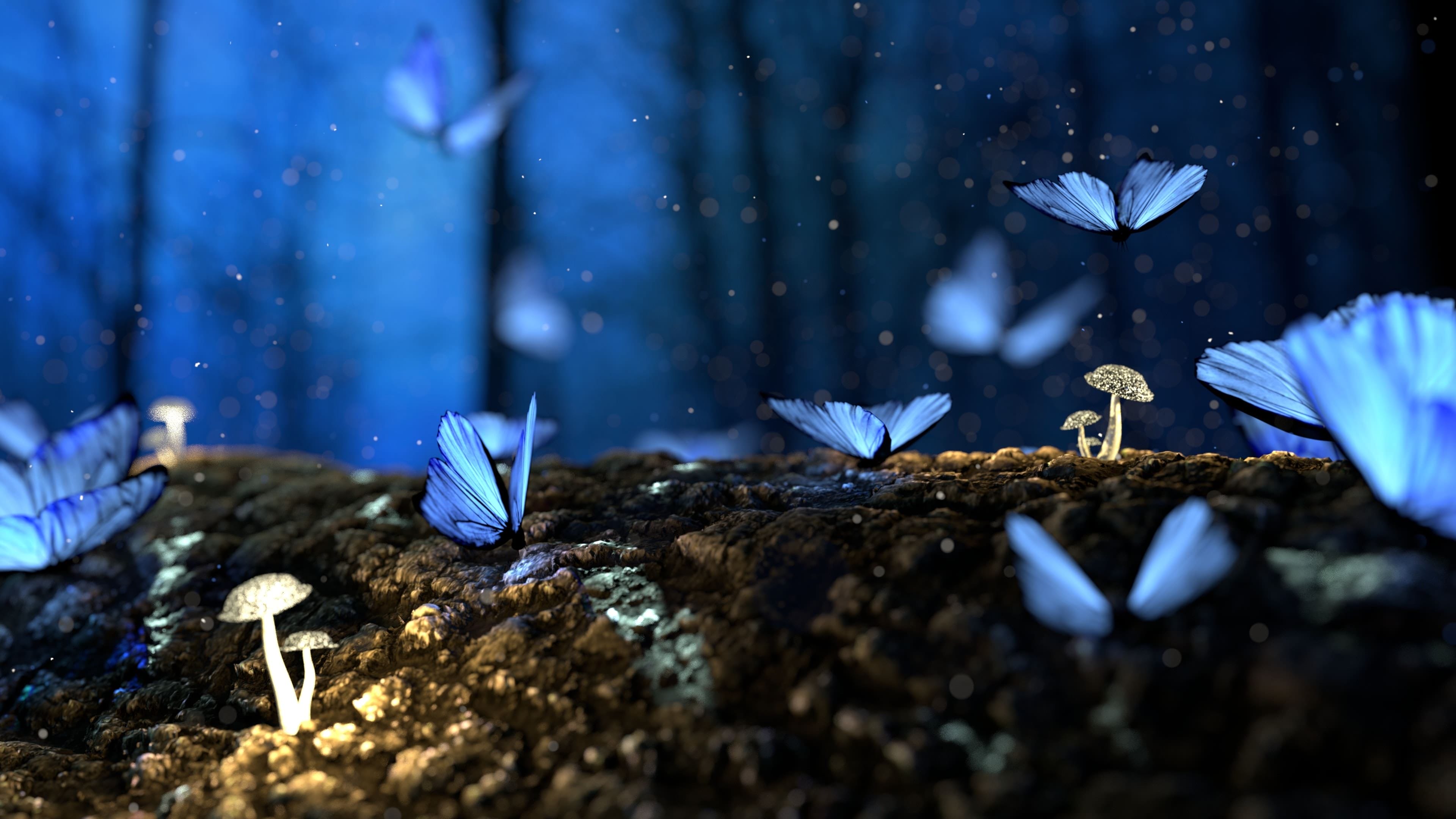 Creative Nature Photography: 13 Tips to Help Get You Outside the Box ...