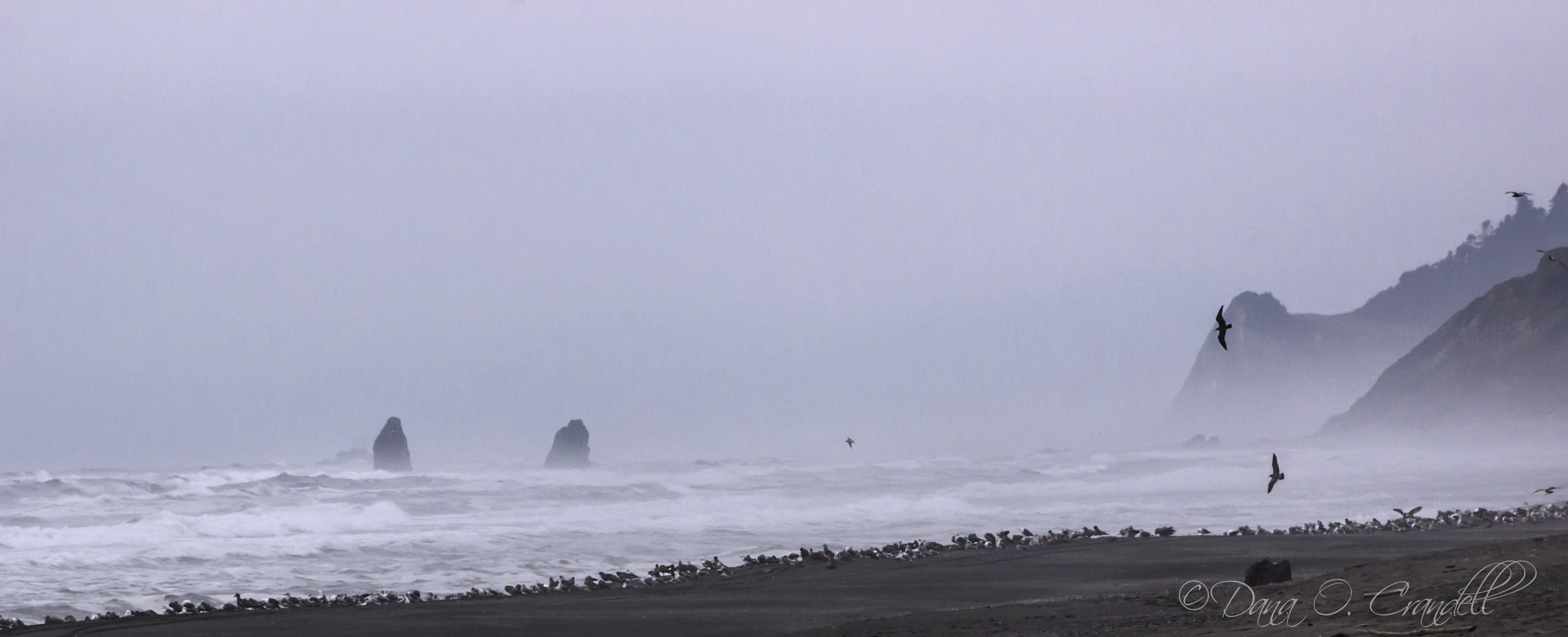 Creative Nature Photography: 13 Tips to Help Get You Outside the Box ...